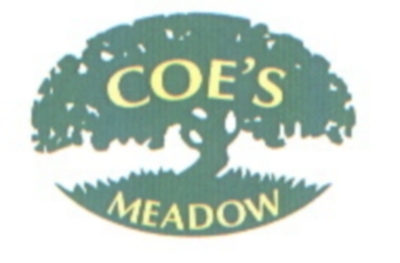 Coe's Meadow - Village of Bulmer in Essex