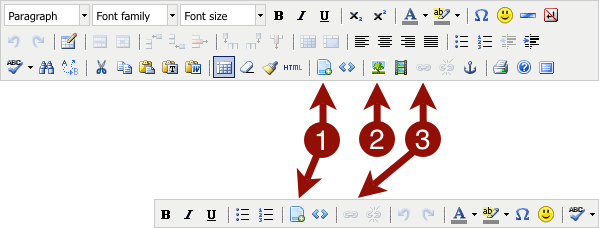 The WYSIWYG Editor - Voice Documentation