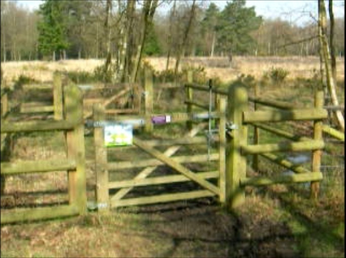Self-closing bridleway gates at Pirbright - Elstead Independent News