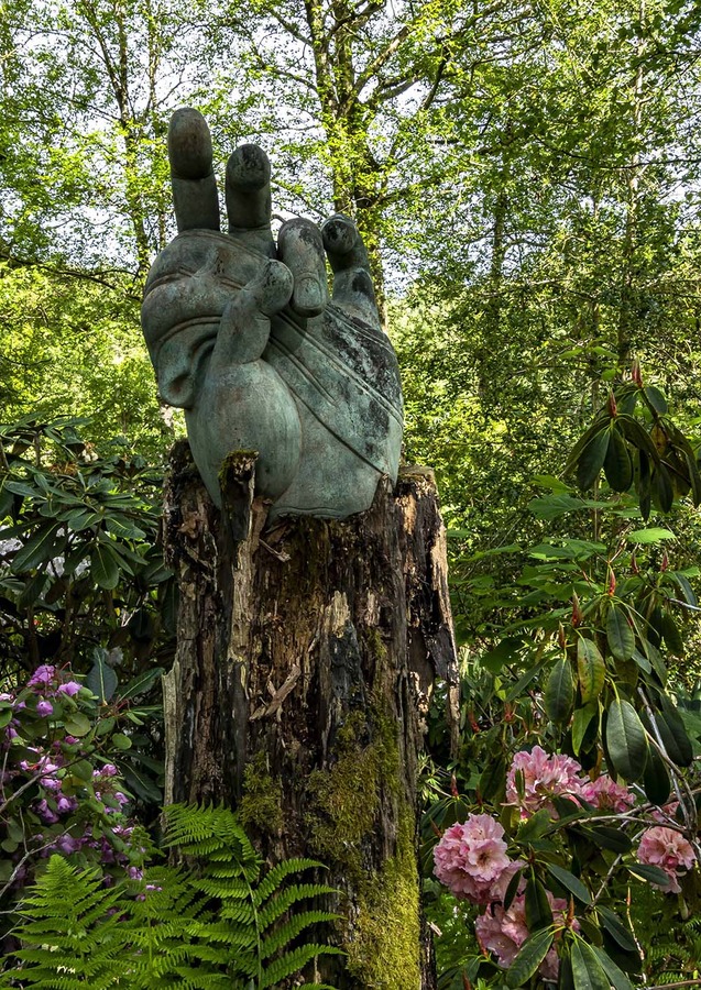 Thai Hand - Foss Photography Club