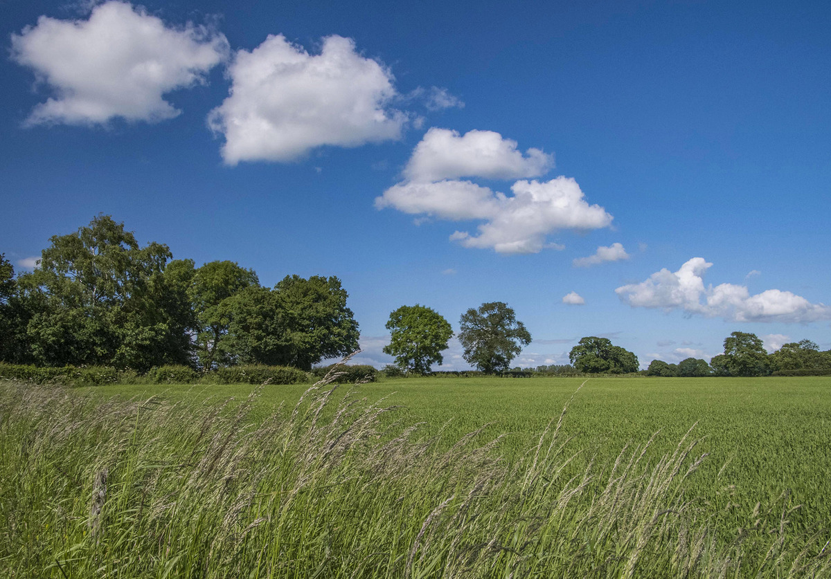 In line - Foss Photography Club