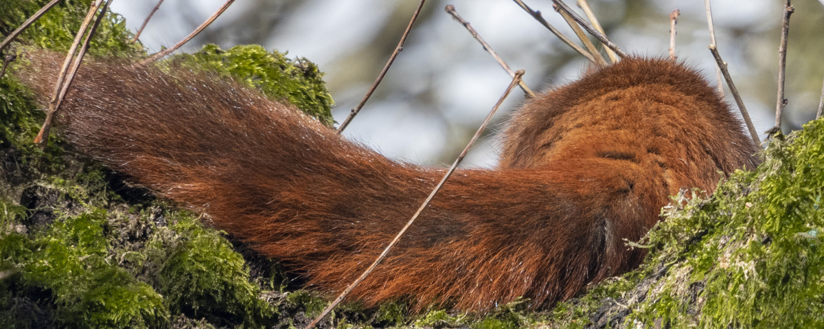Bum view - Foss Photography Club