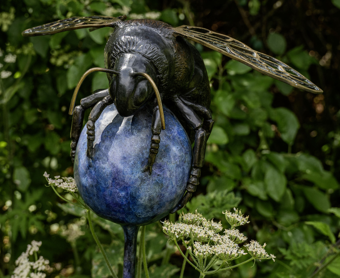 The Bee All and End All - Foss Photography Club