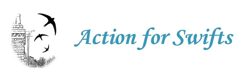 Battle's Special Swift Project - Hastings and Rother Swift Conservation Group