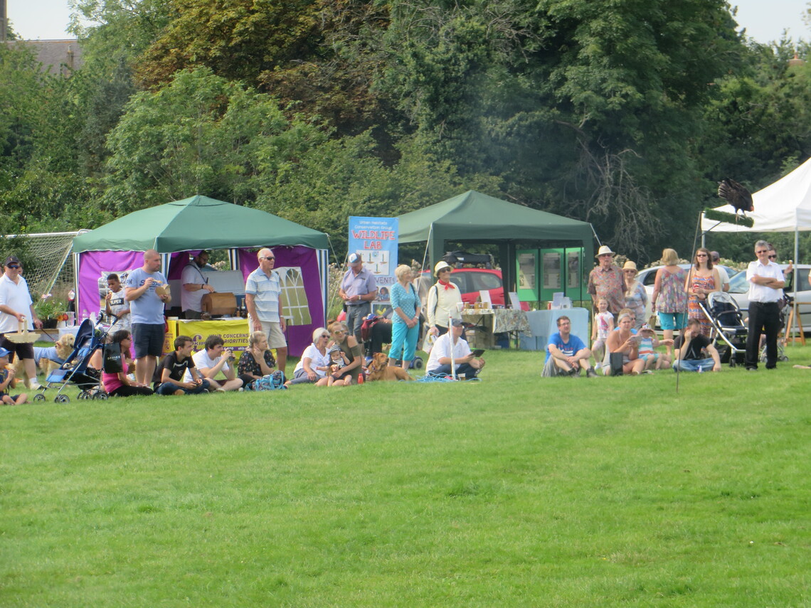 Hazlemere Fete 2017 - Hazlemere Fete