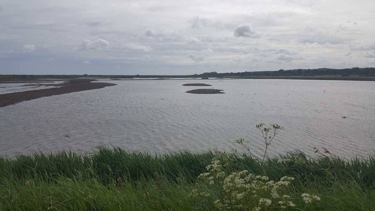 RSPB Titchwell Marsh reserve - Prestwood Gardening Society