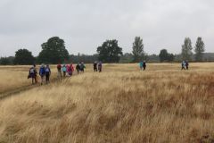 Home - Rothsay Ramblers