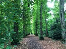 Home - Rothsay Ramblers