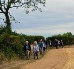 Home - Rothsay Ramblers