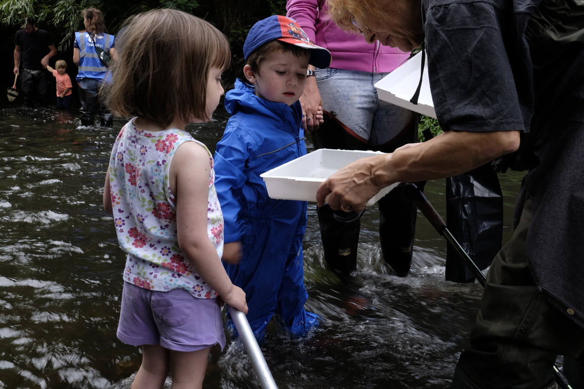 River Dipping - taking a closer look - Tidal Crane Association