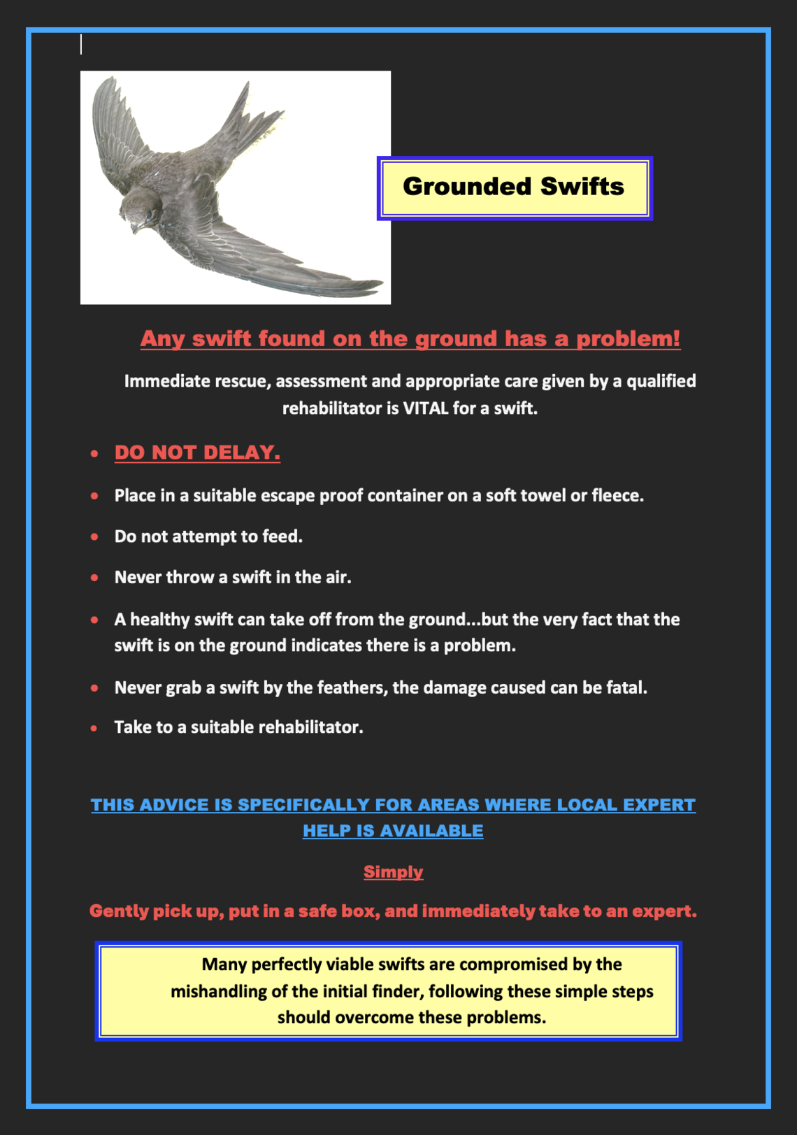 Grounded Swift Leaflet - Winchcombe Swift Support Group